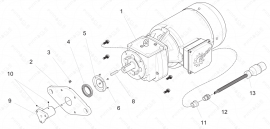 ToughTek P-40 Motor Assembly Exploded Diagram - Shop Online